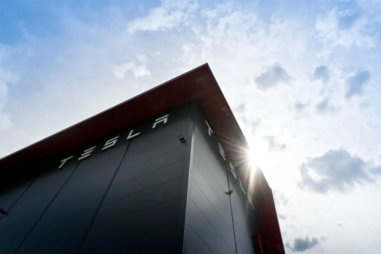 Tesla Autohaus in Neu-Ulm - Ekelpost mit Tierkadavern - Spur führt nach ...
