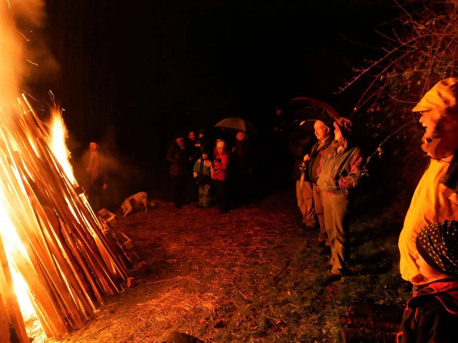 Metzingen: Der Winter ist ausgetrieben | swp.de