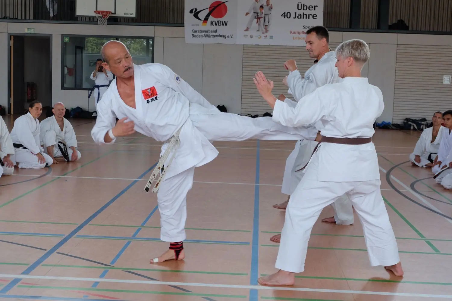 Langenau: 100 Karate-Kämpfer trainieren | swp.de