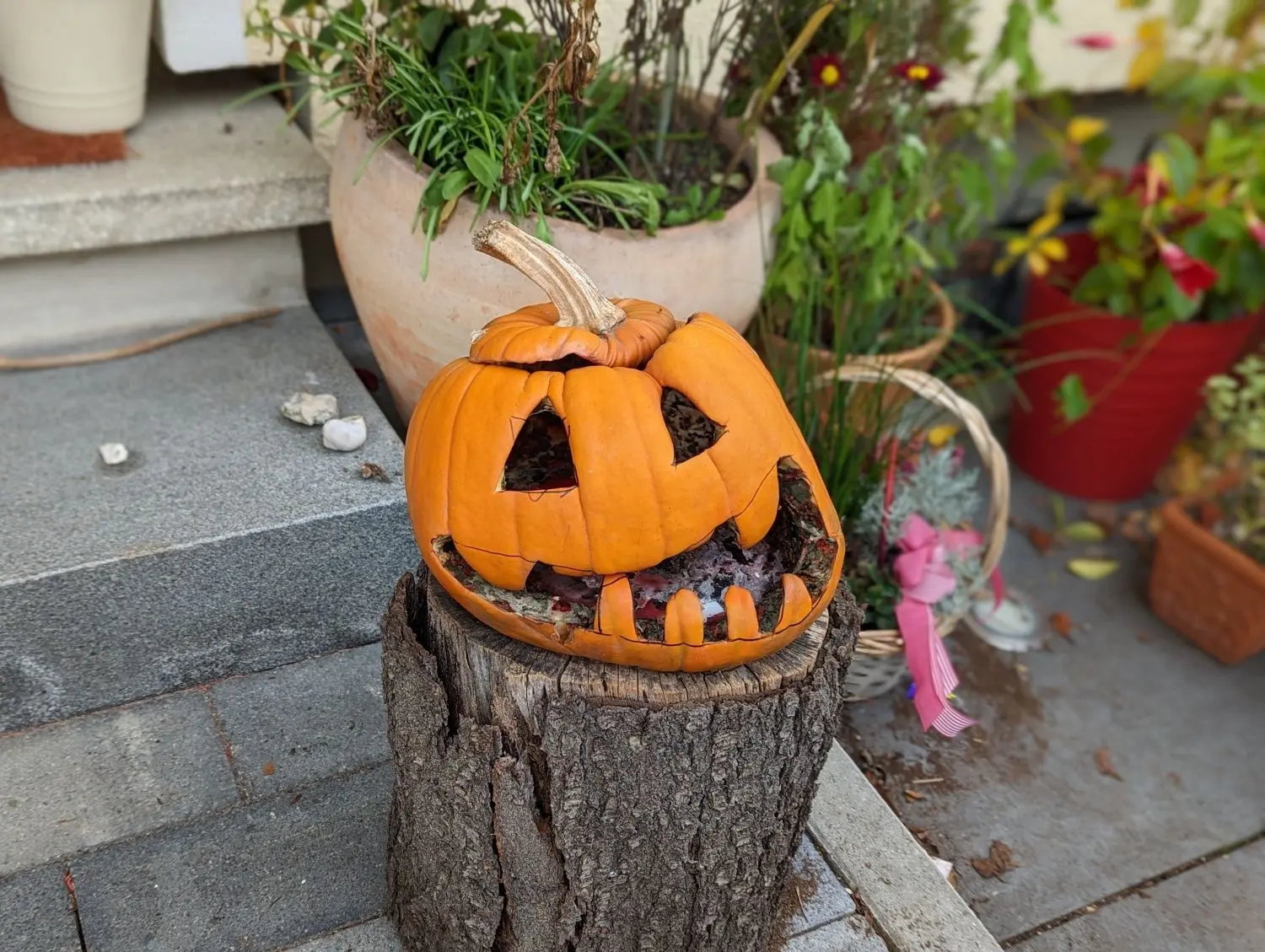 Halloween: Goodbye Zombie-Kürbis | swp.de