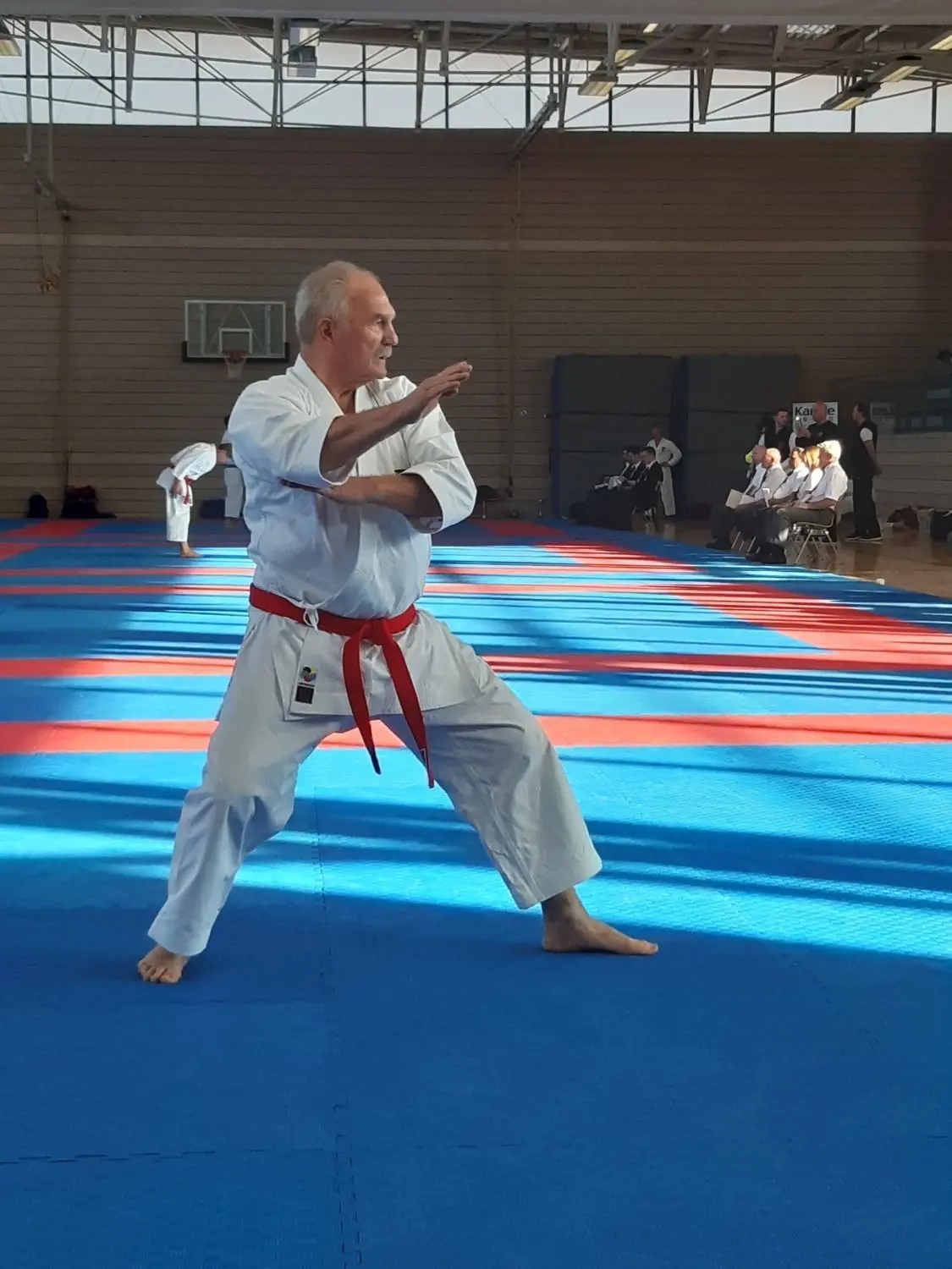 Karate-Landesmeisterschaften: Meister- und Vizemeistertitel gehen an ...