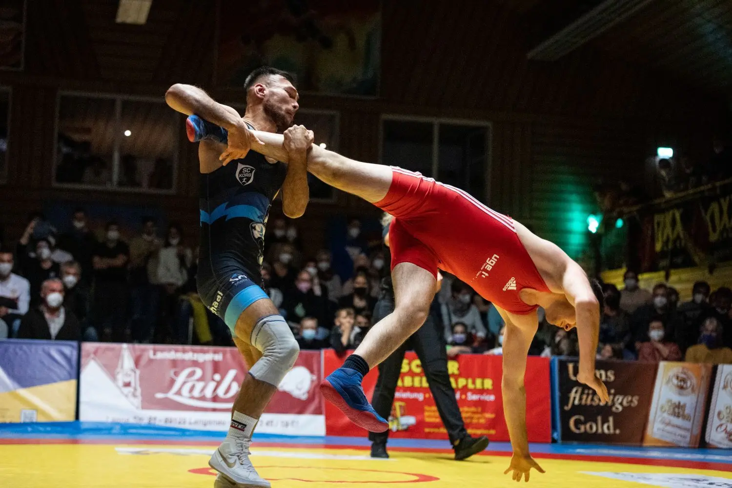 Ringen Verbandsliga: „Elchfighter“ sind gegen SC Korb chancenlos | swp.de