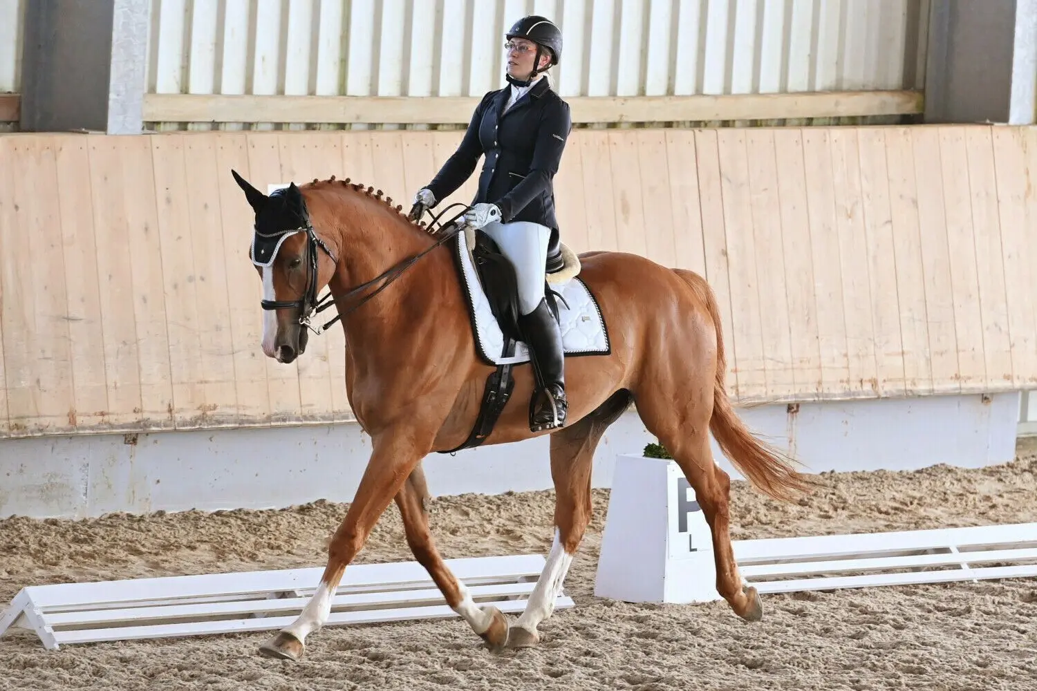 Reiten: Dressur-Elite in Moosbeuren | swp.de