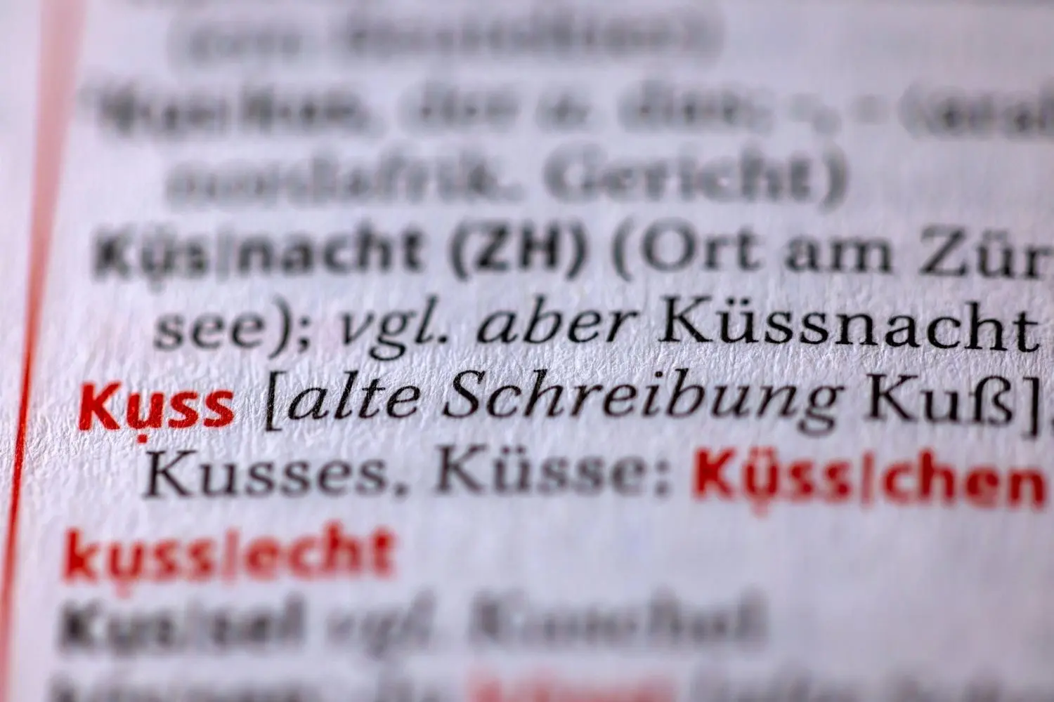 Horoskop heute: Das Liebeshoroskop für den 29. Februar 2024 | swp.de