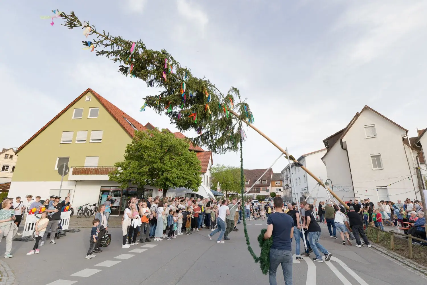 Maifest in Rangendingen: Jägen hieven einen 18 Meter hohen Baum empor ...