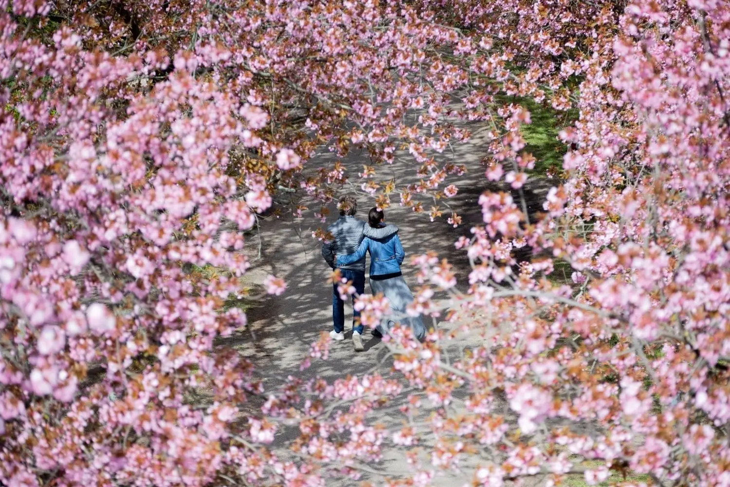 Horoskop heute: Liebeshoroskop für den 24. Mai 2024 | swp.de