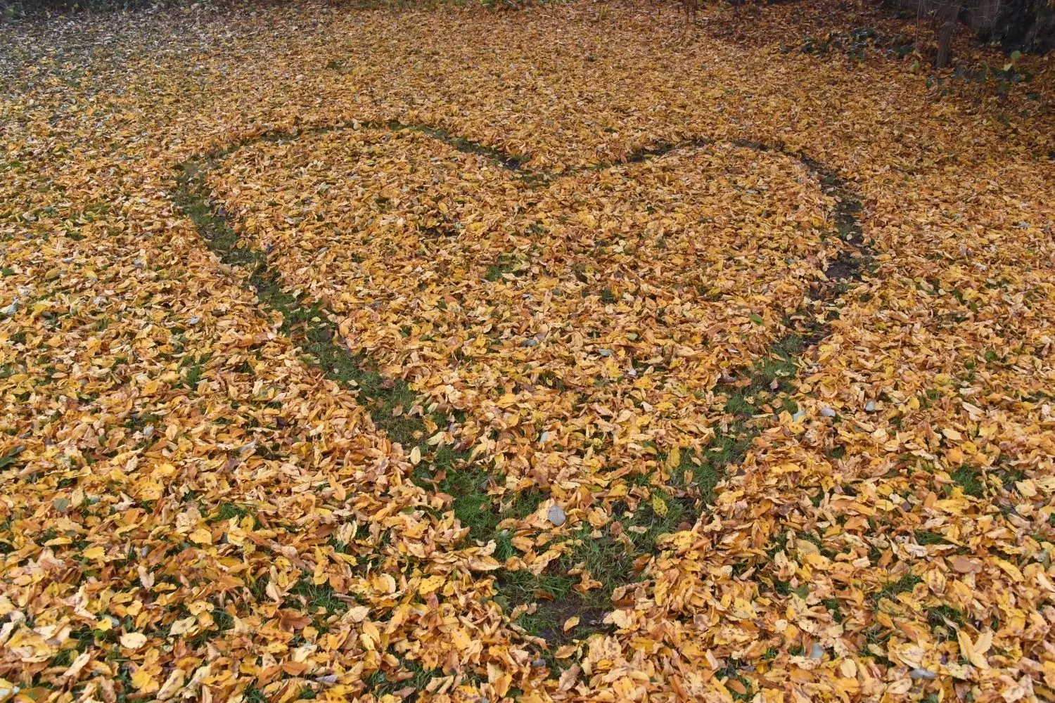 Horoskop heute: Liebeshoroskop für den 25. Mai 2024 | swp.de