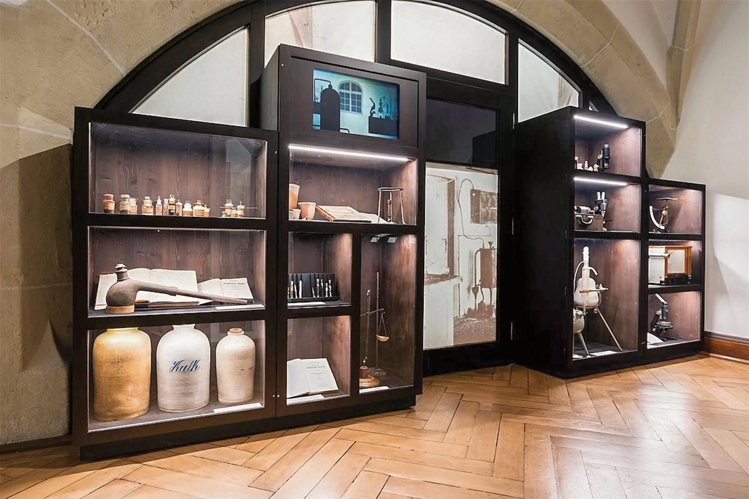 Tübingen · Forschung: DNA-Entdeckung: Der Kern des Neuen aus Eiter in ...