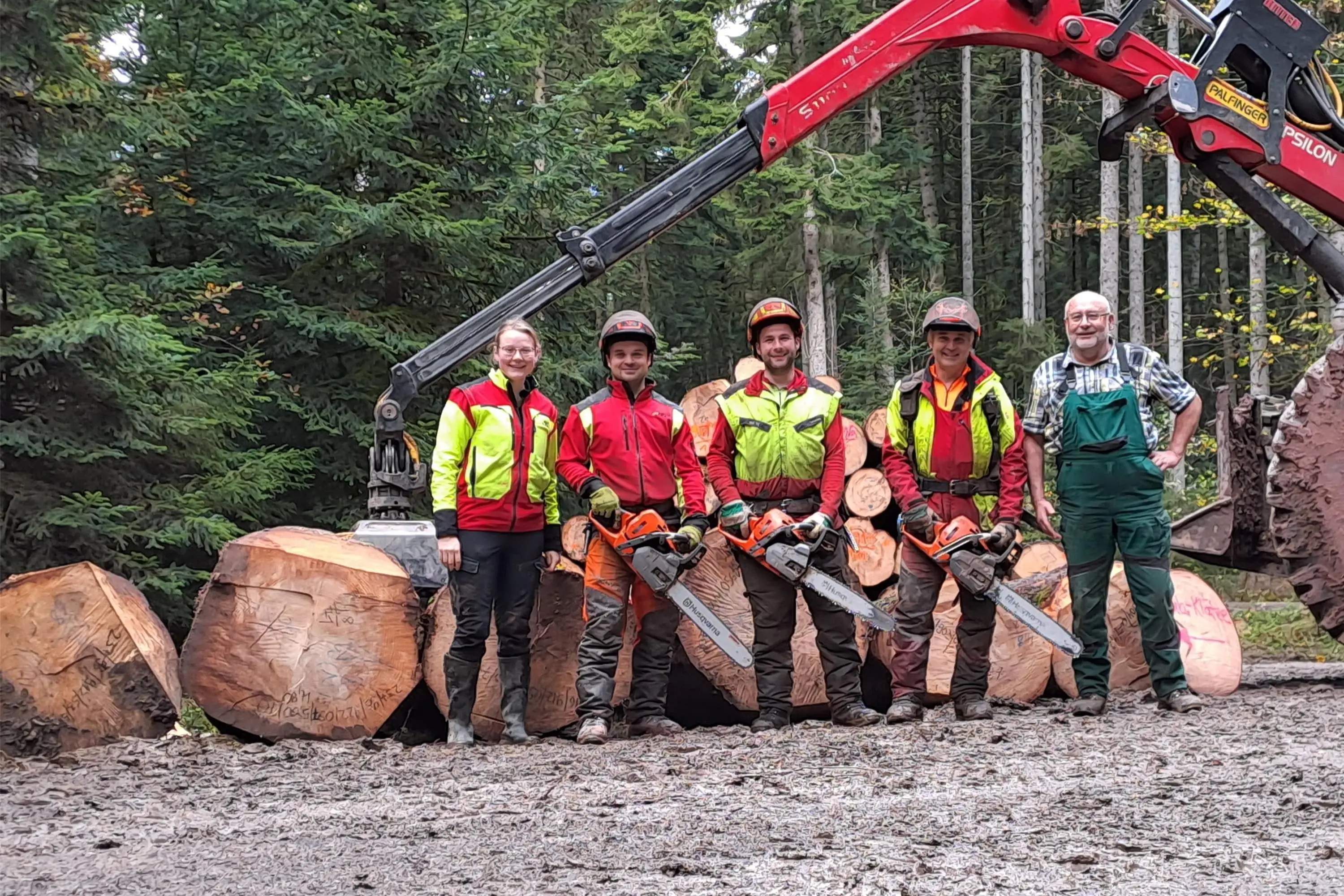 Glatten · Forst: Profit aus dem Reisigsammeln der Vorfahren | swp.de