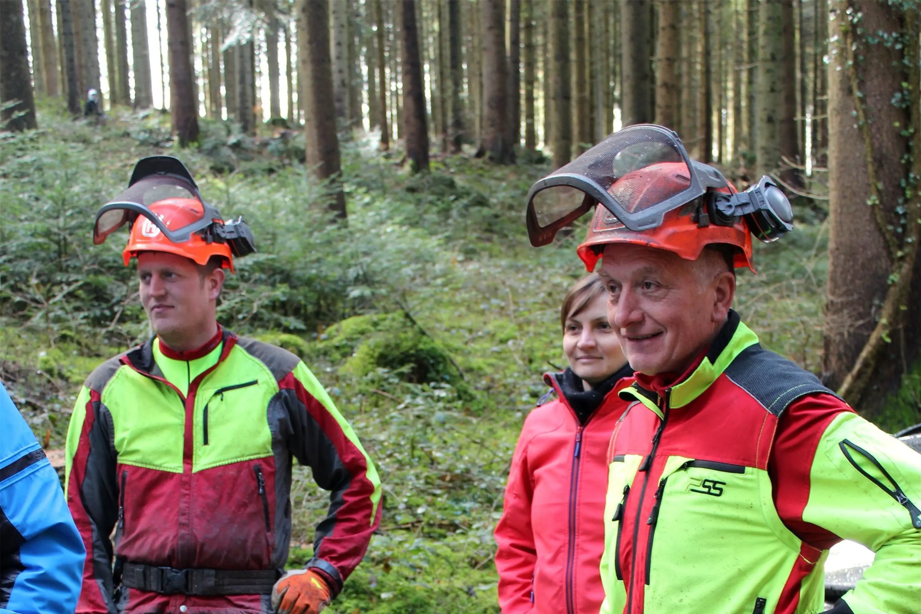 Forst: Waldumbau in Waldachtal | swp.de