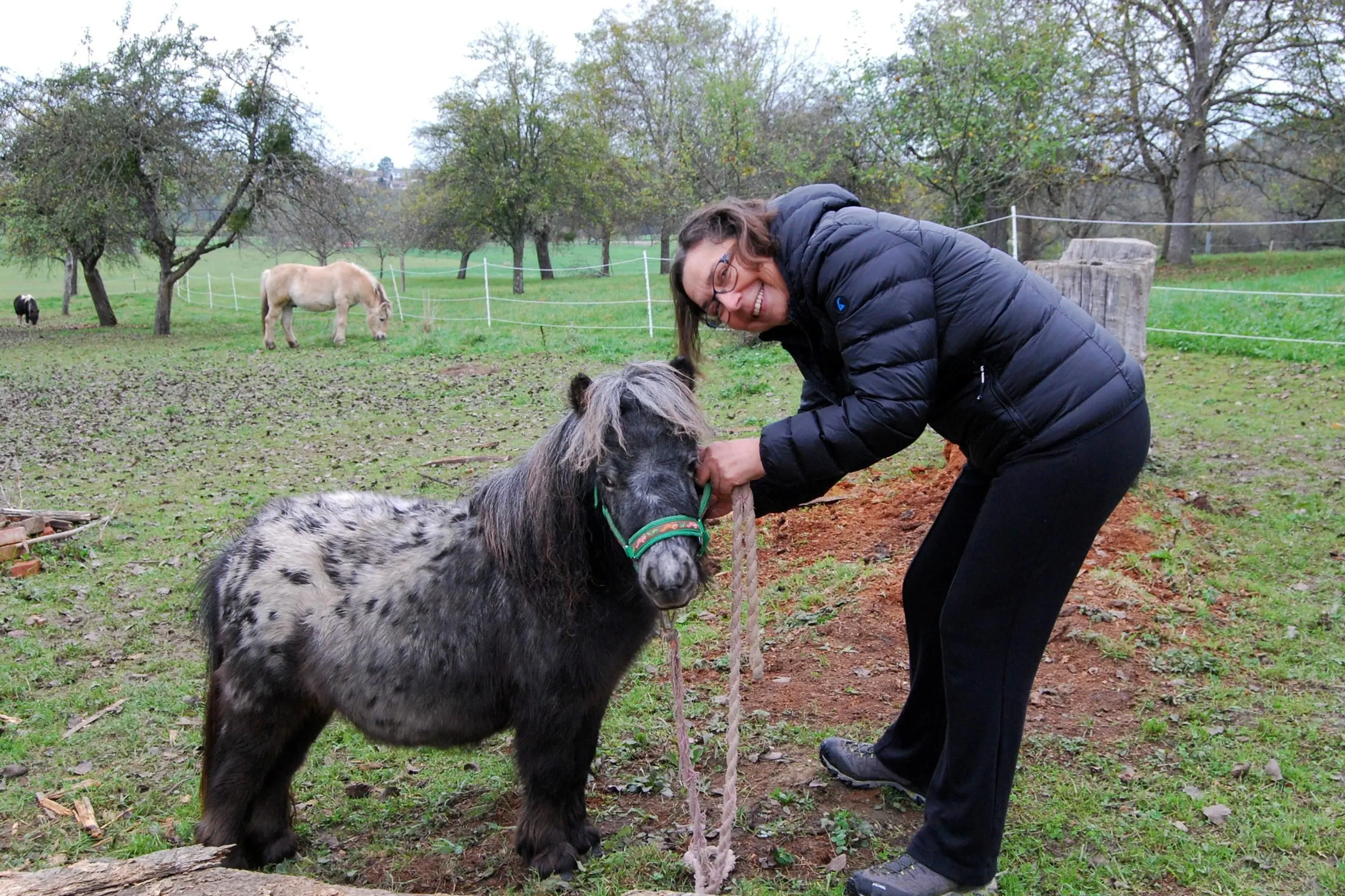Gomaringen · Therapeutisches Reiten: Mehr Qualität durch Kontakt mit ...