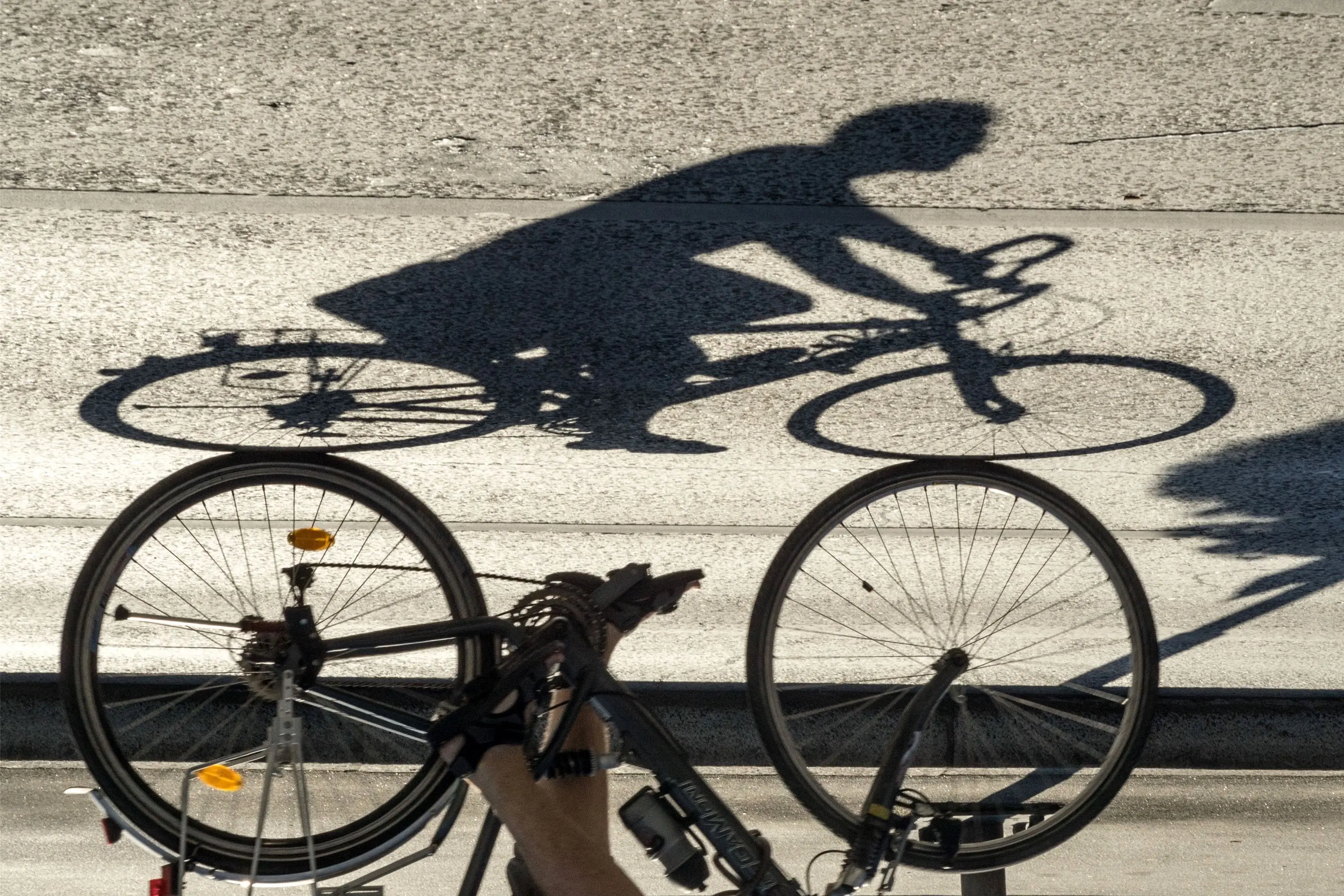 Horb · Gemeinderat: Für ein besseres Klima | swp.de