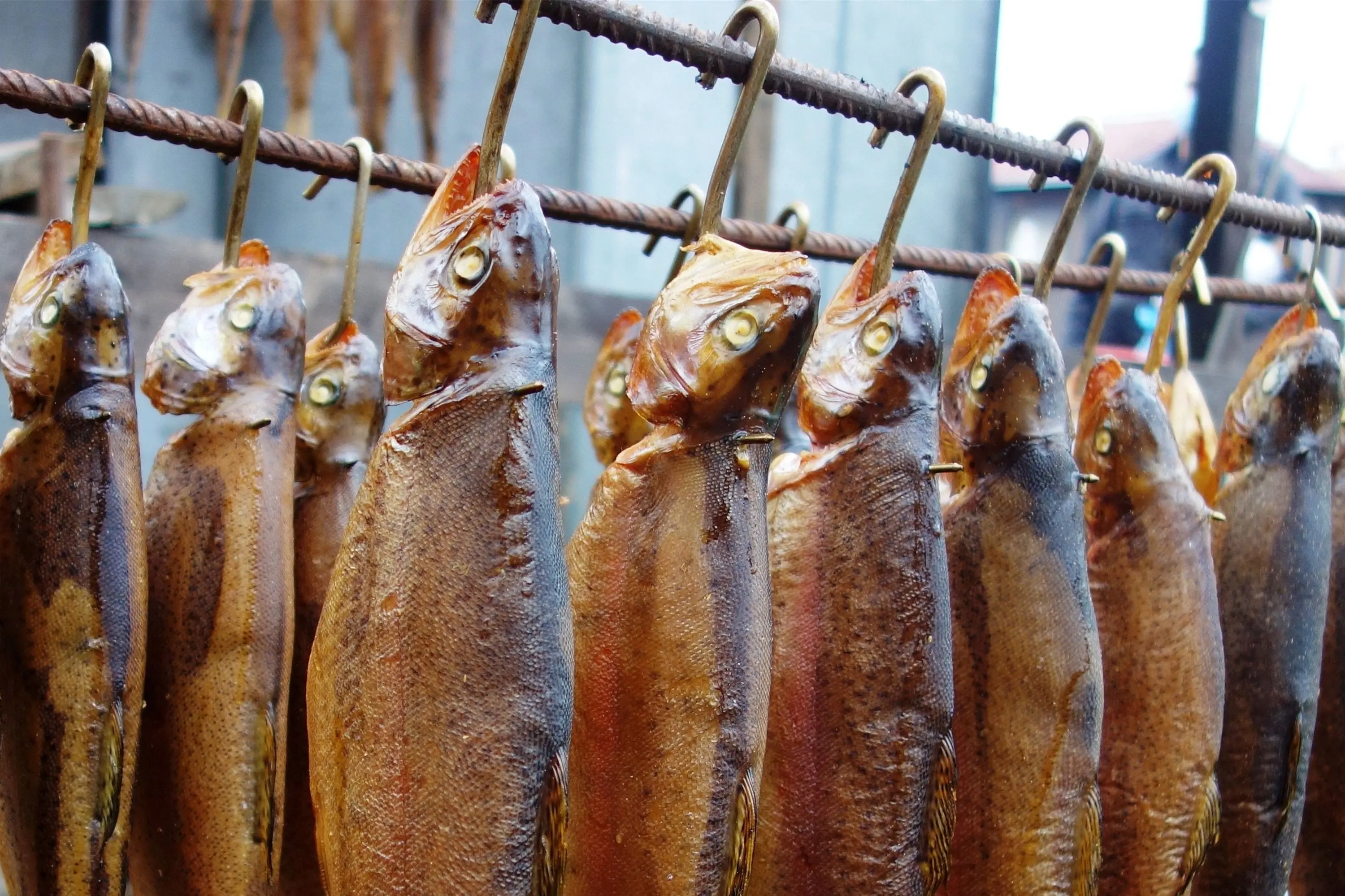 Rottenburg · Vereine: Forellen frisch und geräuchert | swp.de