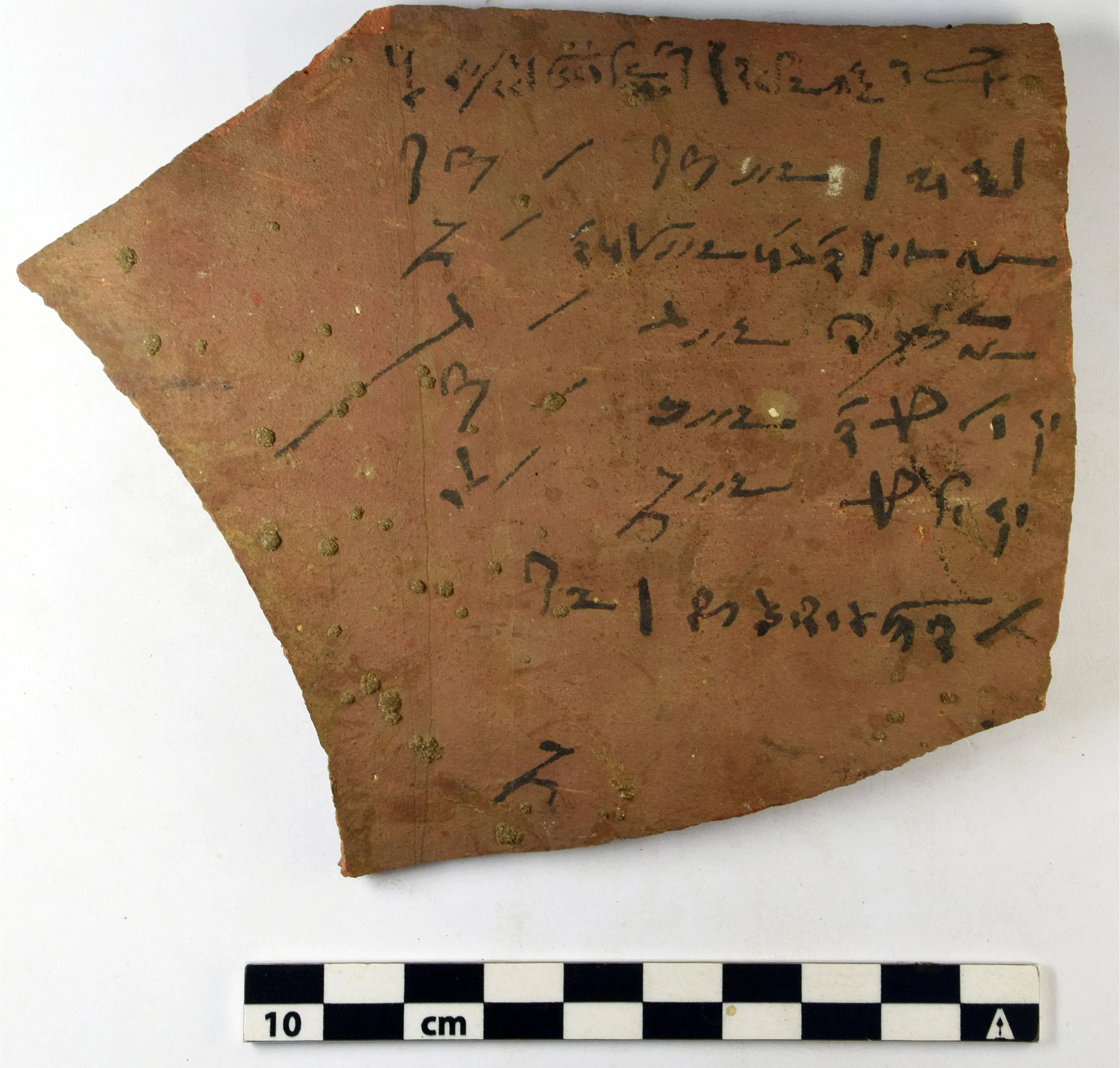 Archäologie: Tübinger Forscher werden fündig: Alltag im alten Ägypten | swp.de