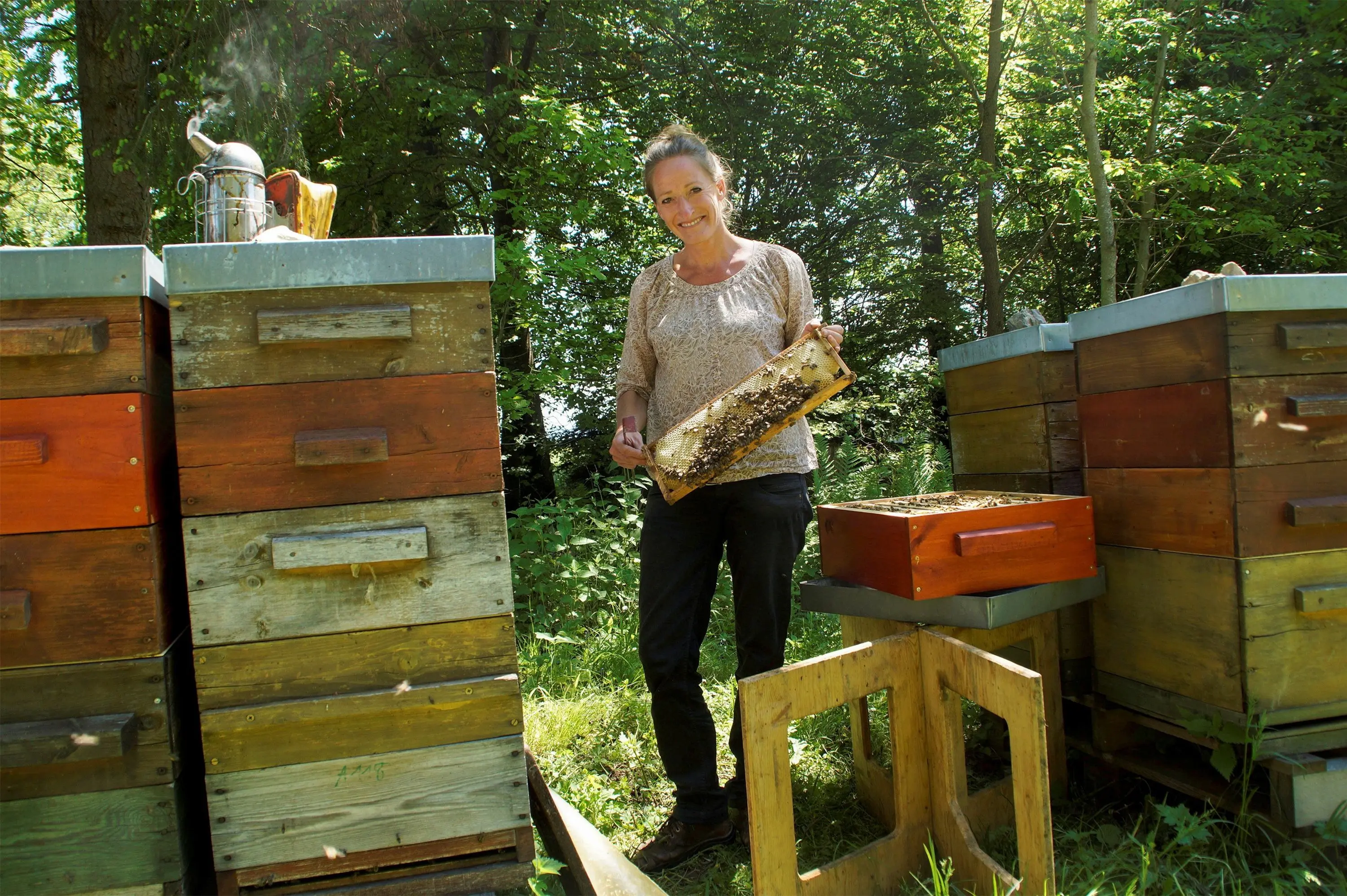 Wachendorf · Honigbienen: Eva Frey: Bienenkennerin seit ihrer Jugend ...