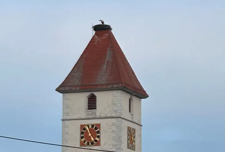 Zollernalbkreis | swp.de