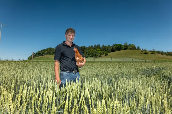 Zollernalbkreis | swp.de