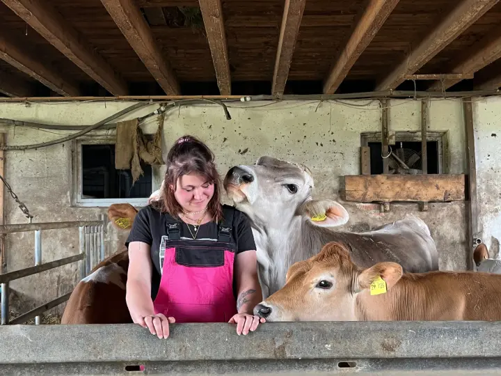 Alb-Donau-Kreis | swp.de