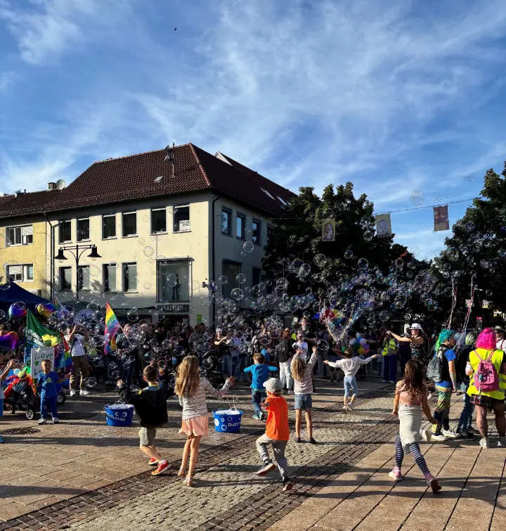 Zollernalbkreis | swp.de