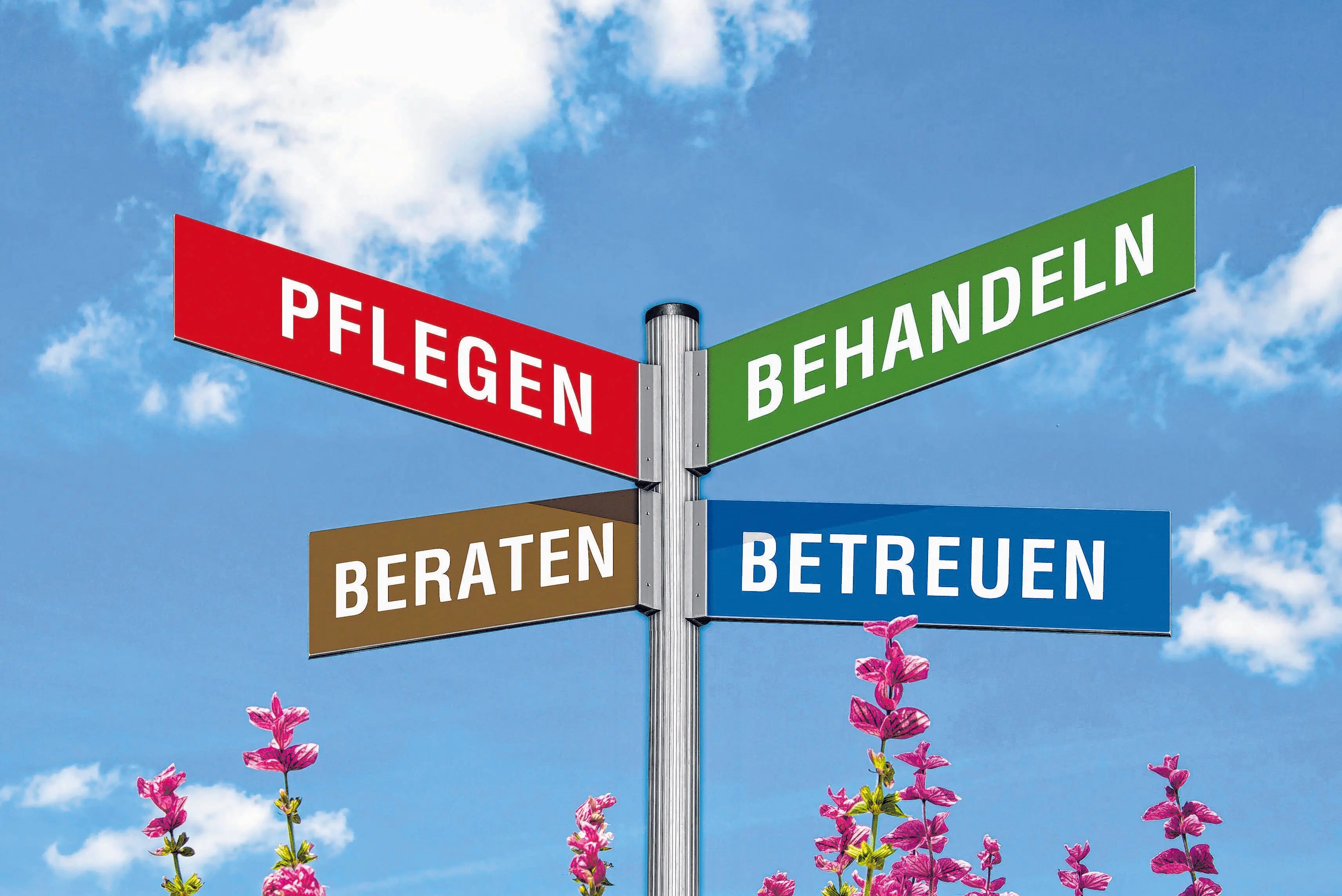 ConSenio - Internationaler Tag: Viele Wege in die Pflegebranche | swp.de